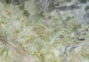 Verde Tifone Polished Marble Slab Random
