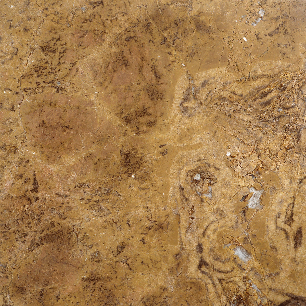 ROTONDA | Country Floors of America LLC.